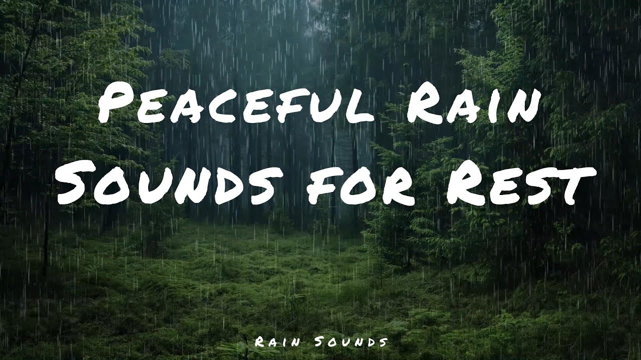 Peaceful Rain Sounds for Rest and Relaxation | Embrace the Calm of ...