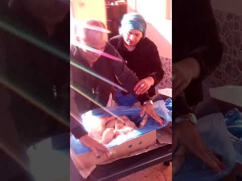 Yeni zagra Peter asan Allah rızasi bağış Tarih-7-04-2020☝️🙏☝️
