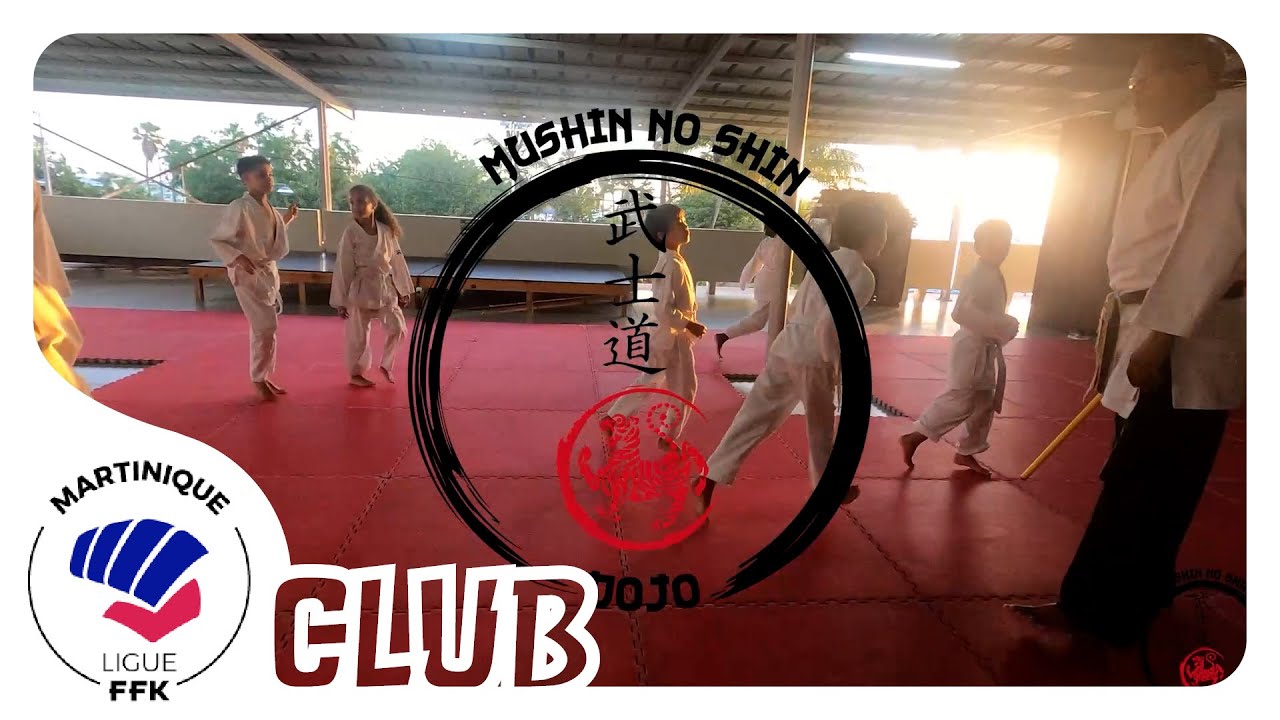 MUSHIN No Shin DOJO - YouTube