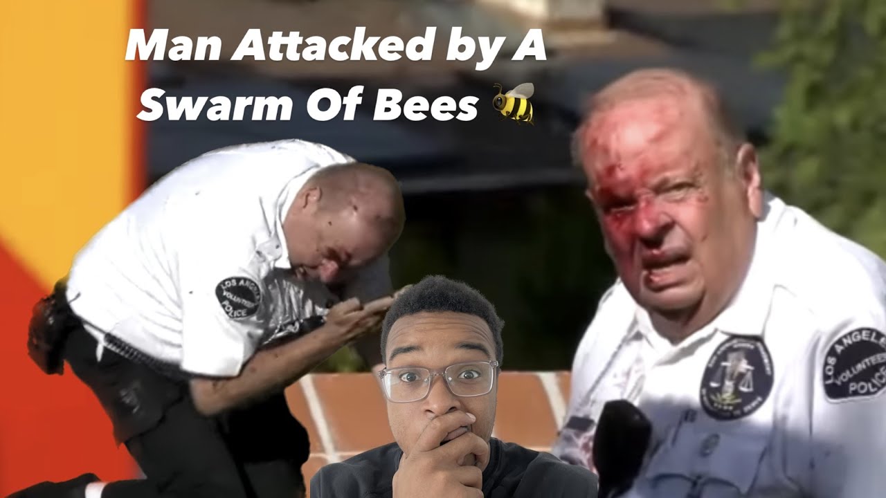 Volunteer Police Officer Attacked By Angry Swarm of Bees |Reaction ...