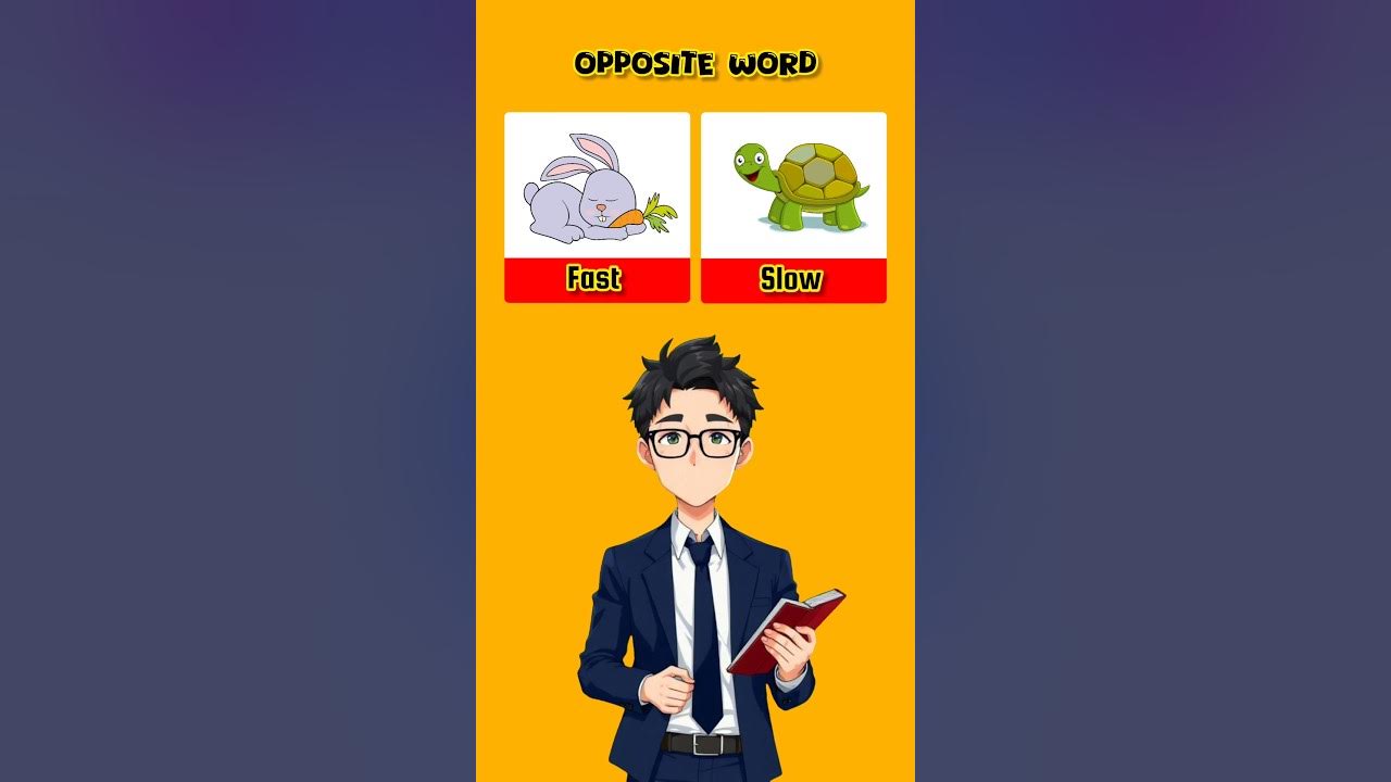 Opposites Made Easy! Improve Your Vocabulary Today! #learnenglish - YouTube