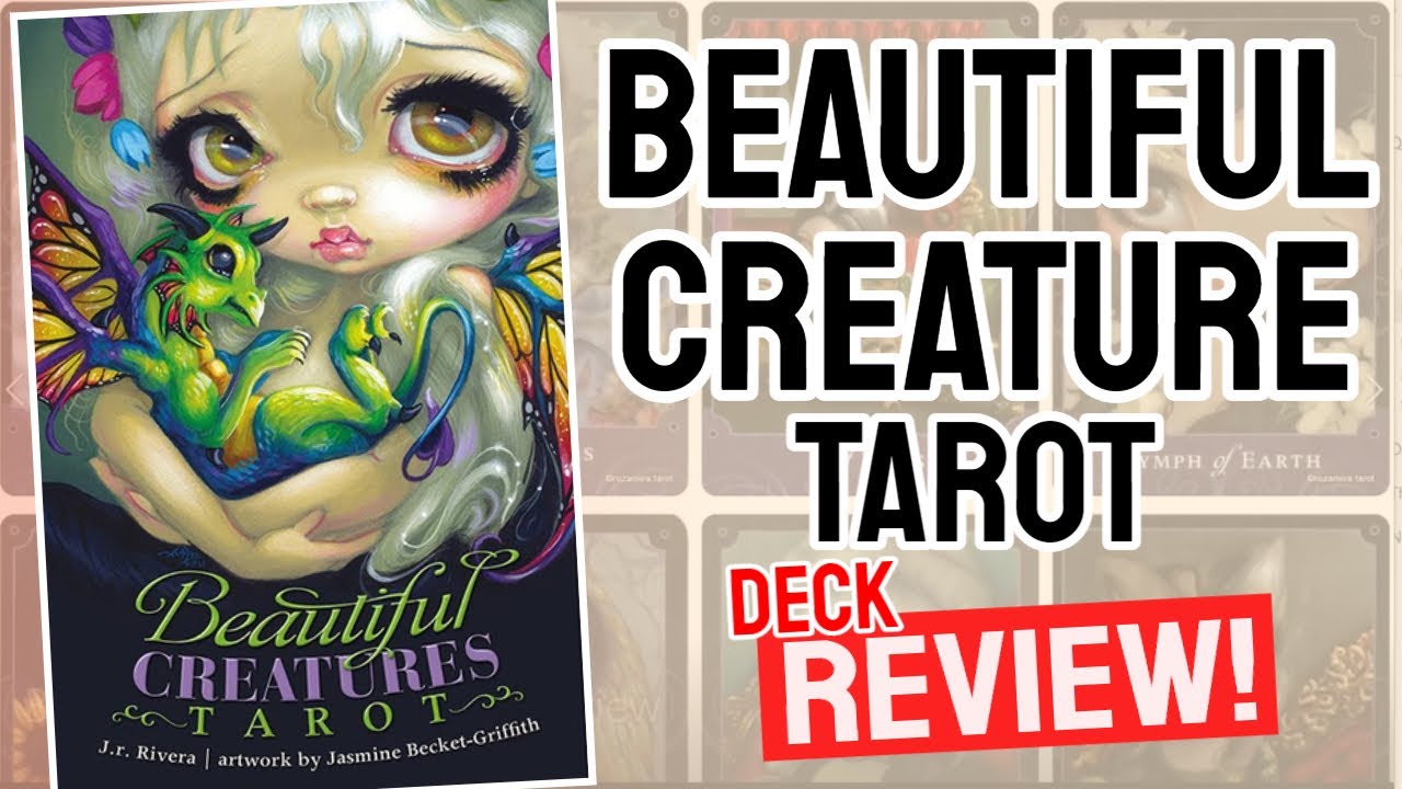 Beautiful Creatures Tarot Review (All 78 Beautiful Creatures Tarot ...
