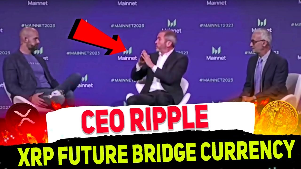 XRP RIPPLE CEO JUST SAID THIS !!!!! XRP FUTURE BRIDGE WORLD CURRENCY ...