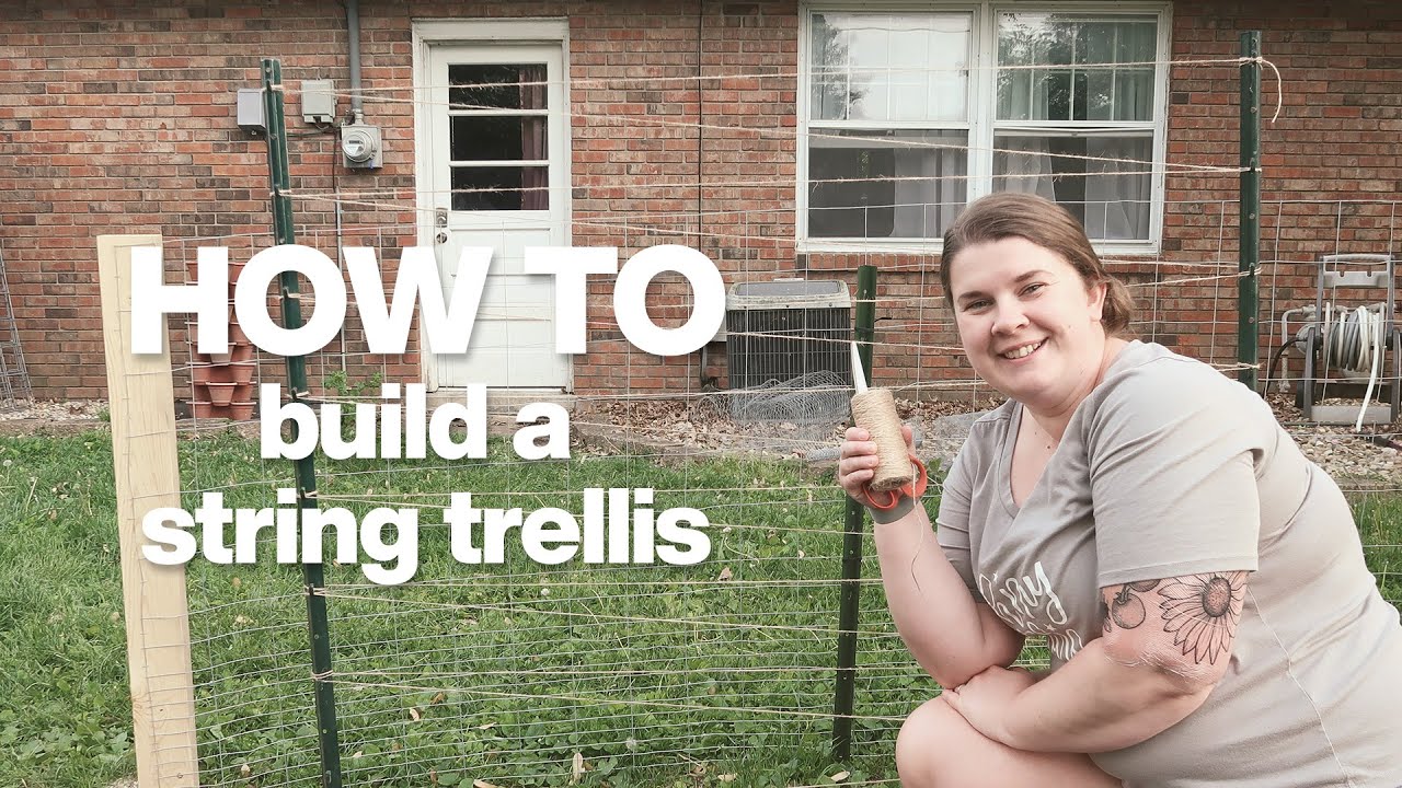 How To Build a String Trellis for Lightweight Plants! | Garden Tips ...