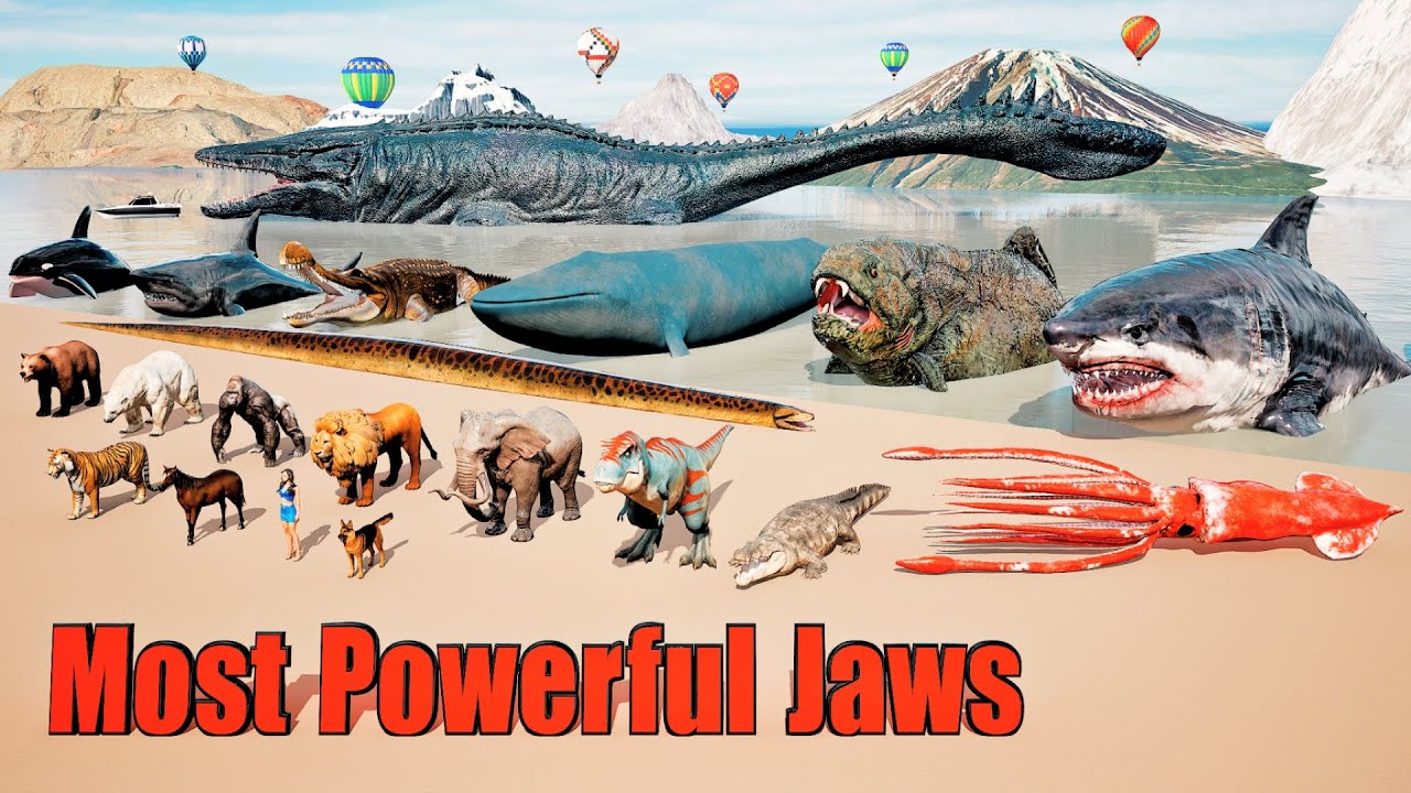 World's Strongest Animals | Bite Force Battle | 3D Comparison - YouTube