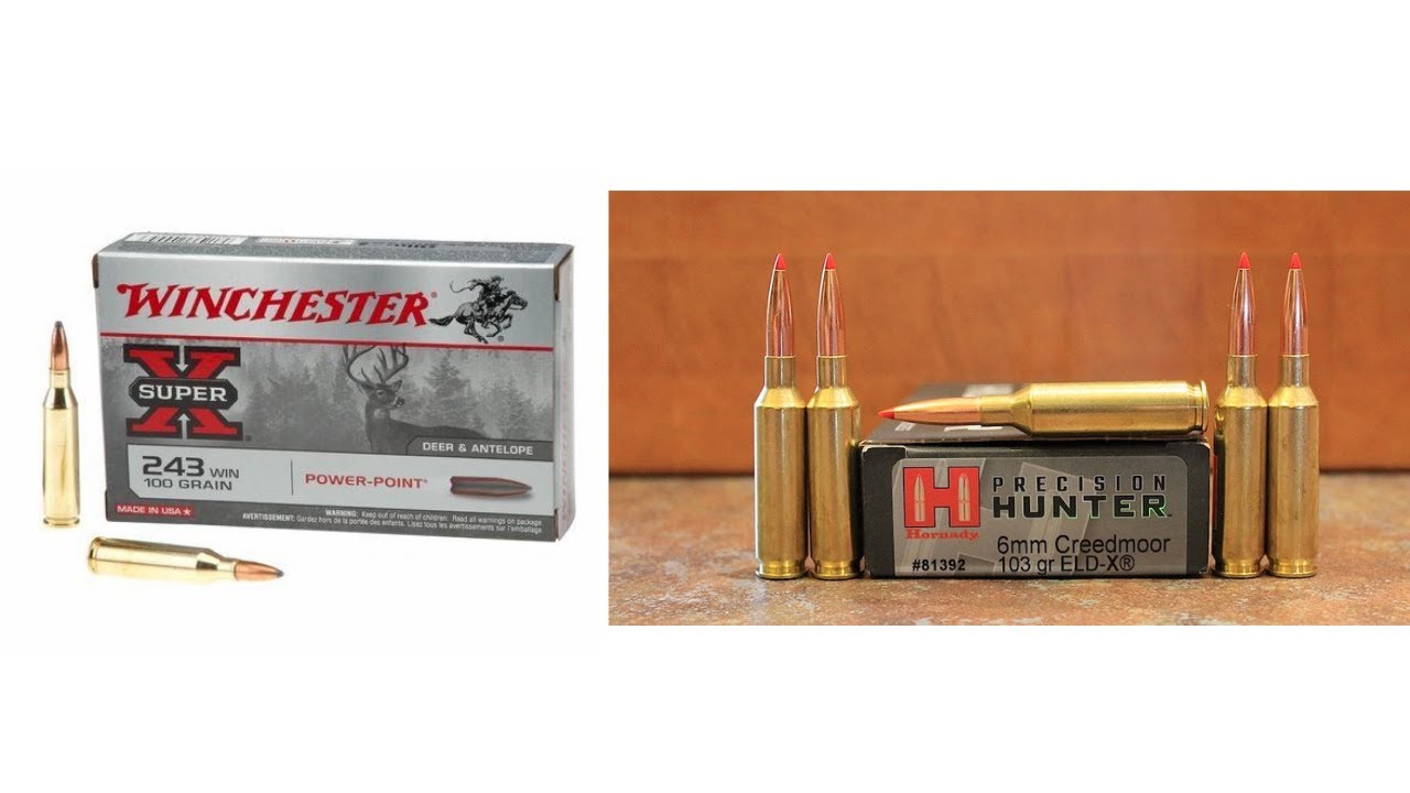 243 Winchester vs 6mm Creedmoor - YouTube