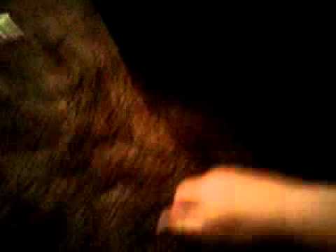 farts on fire. crystal.3GP
