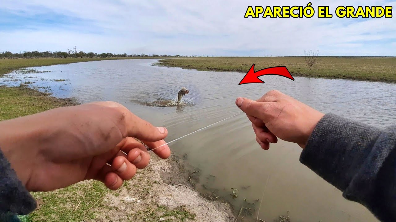 ARROYO LLENO DE PESCADOS, PESCA CON LINEA DE MANO Pesca Artesanal - YouTube