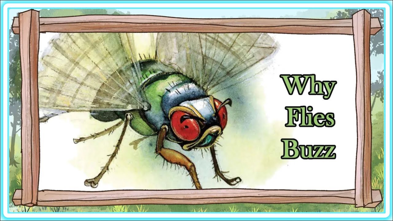 🌀 WHY FLIES BUZZ | Graded Reader 🔊 Pre-school-Grade-schooler - YouTube