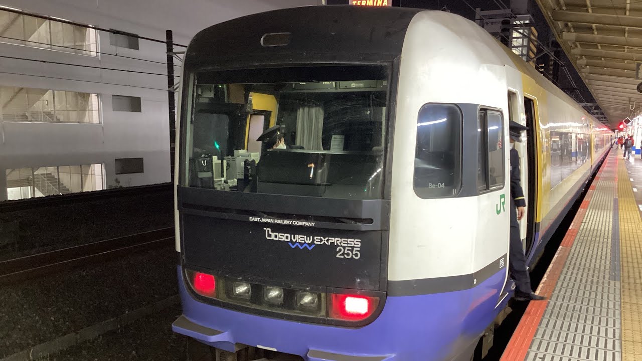 E255系特急しおさい東京行き錦糸町駅到着 - YouTube