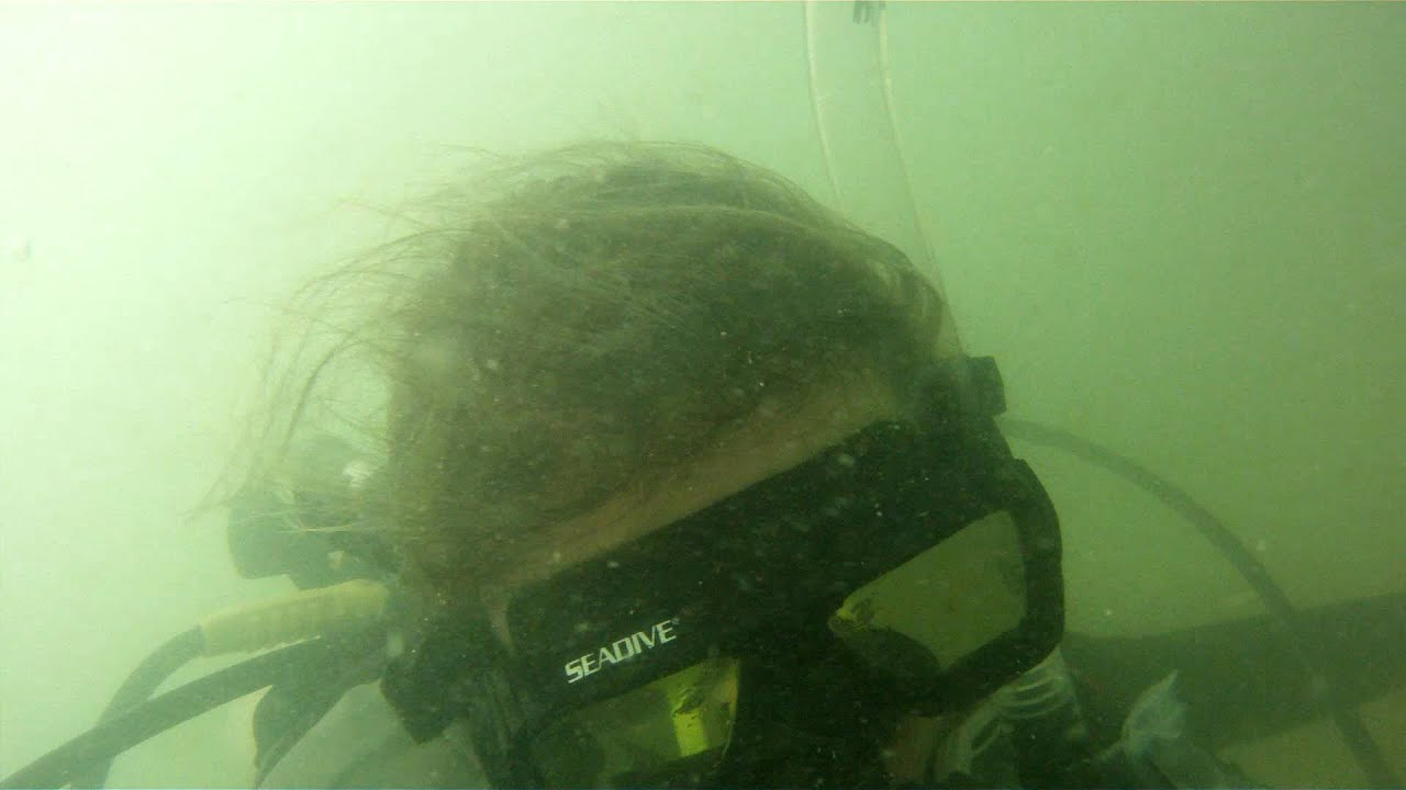 Venice Beach Florida Shark Teeth Dive 2 - YouTube