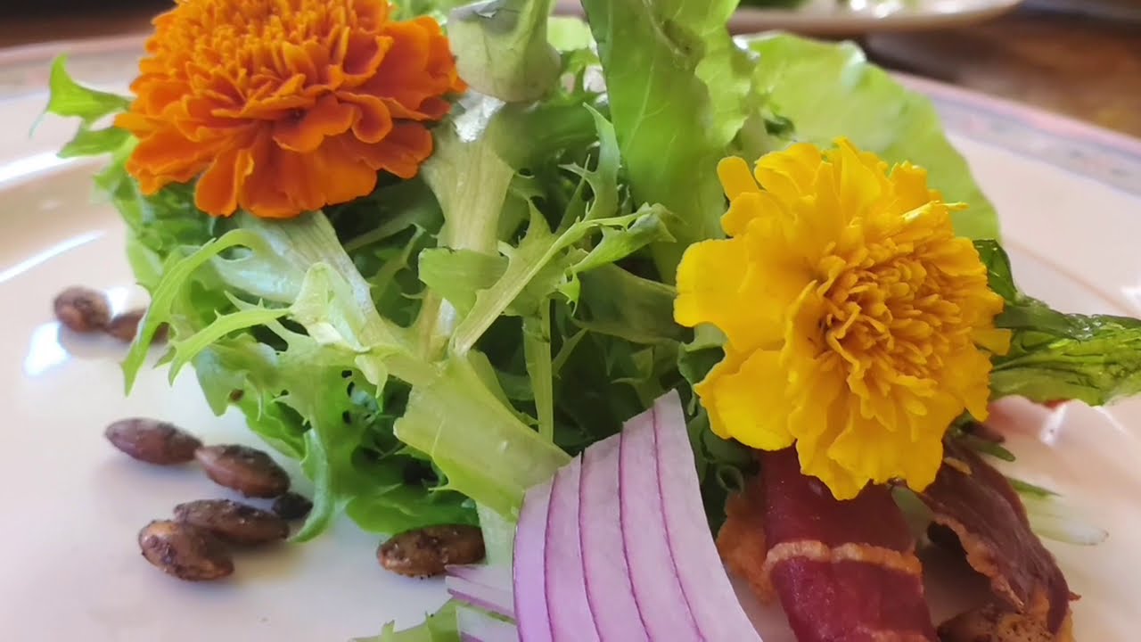 Renee Redman Birthday Dinner Slideshow 2020 - YouTube