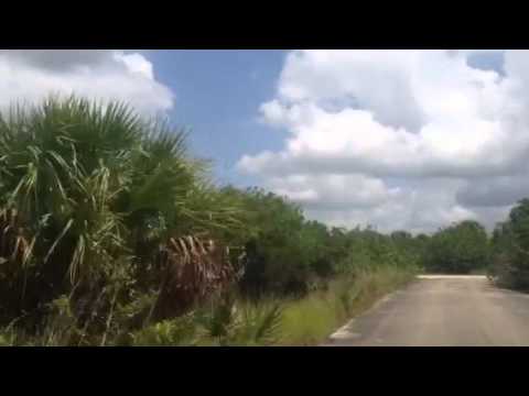 Abandoned subdivision in Palm Bay, fl - YouTube