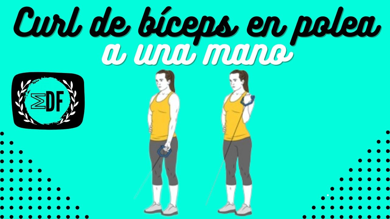Curl de bíceps en polea baja a una mano🔥Cómo hacerlo de forma correcta🙌 ...