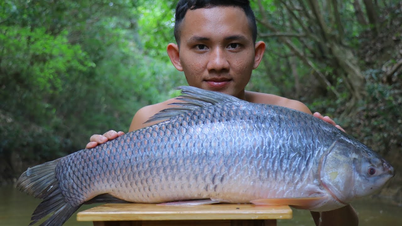 Yummy Cooking Big Fish khmer Traditional Food in Forest Cooking with ...