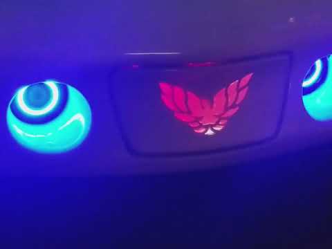 Illuminated front bird license plate cover for 1998 to 2002 Pontiac ...