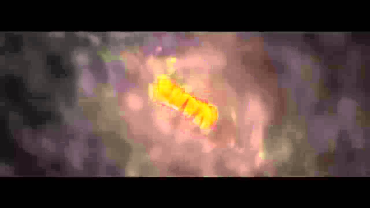 FREE EPIC YELLOW SYNC INTRO TEMPLATE #04 | C4D&AE | Creature Intros ...