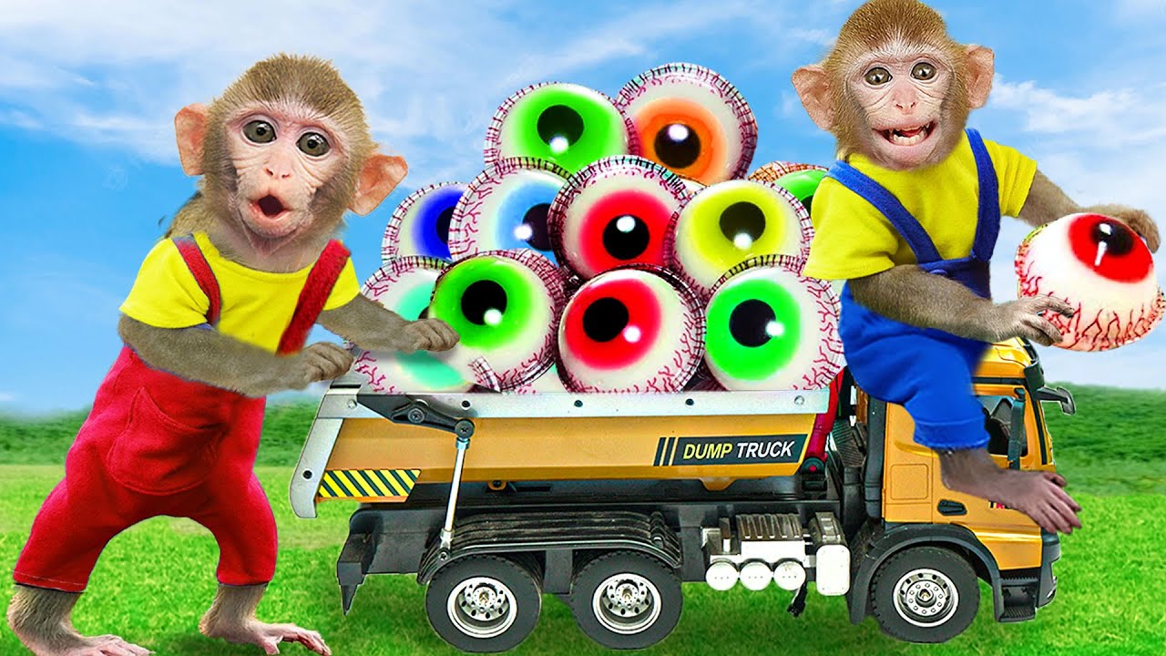 A Day Monkey KiKi Harvests EYEBALL CANDY at the farm | KUDO ANIMAL ...