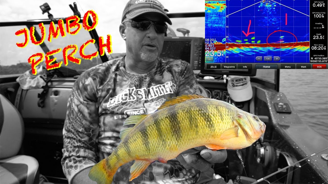 Locate JUMBO PERCH [Panoptix Fishing Techniques] - YouTube