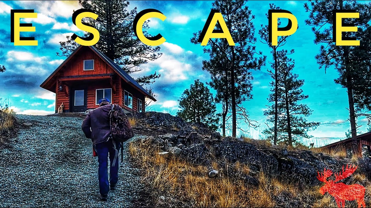 My First Night in a Cozy Off Grid Cabin…that I Built Alone. - YouTube