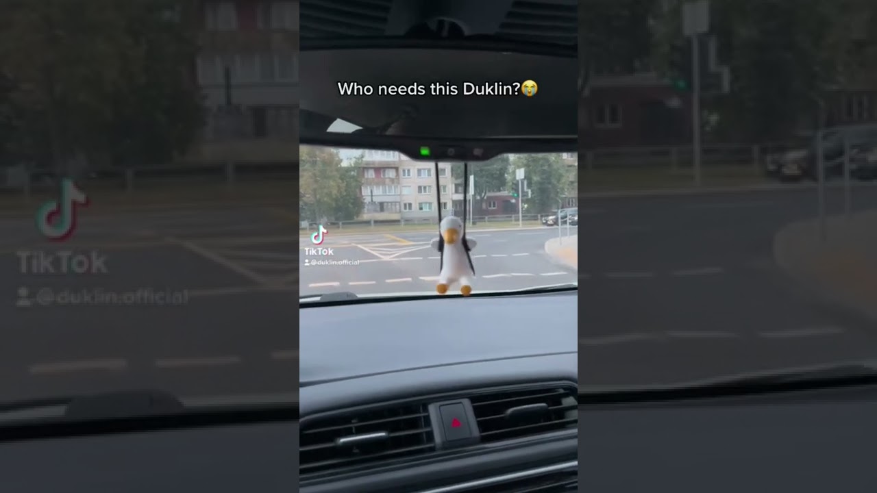 Who is very angry while driving and needs this Duklin?😭 #carduck # ...