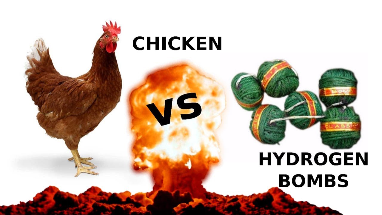 EXPLODING CHICKEN WITH HYDROGEN BOMB - YouTube