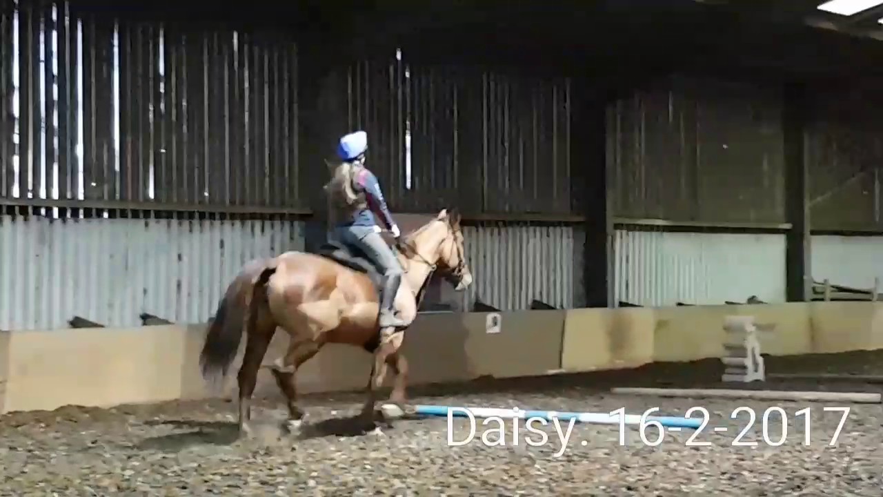 Daisy riding lesson 16-2-2017 - YouTube