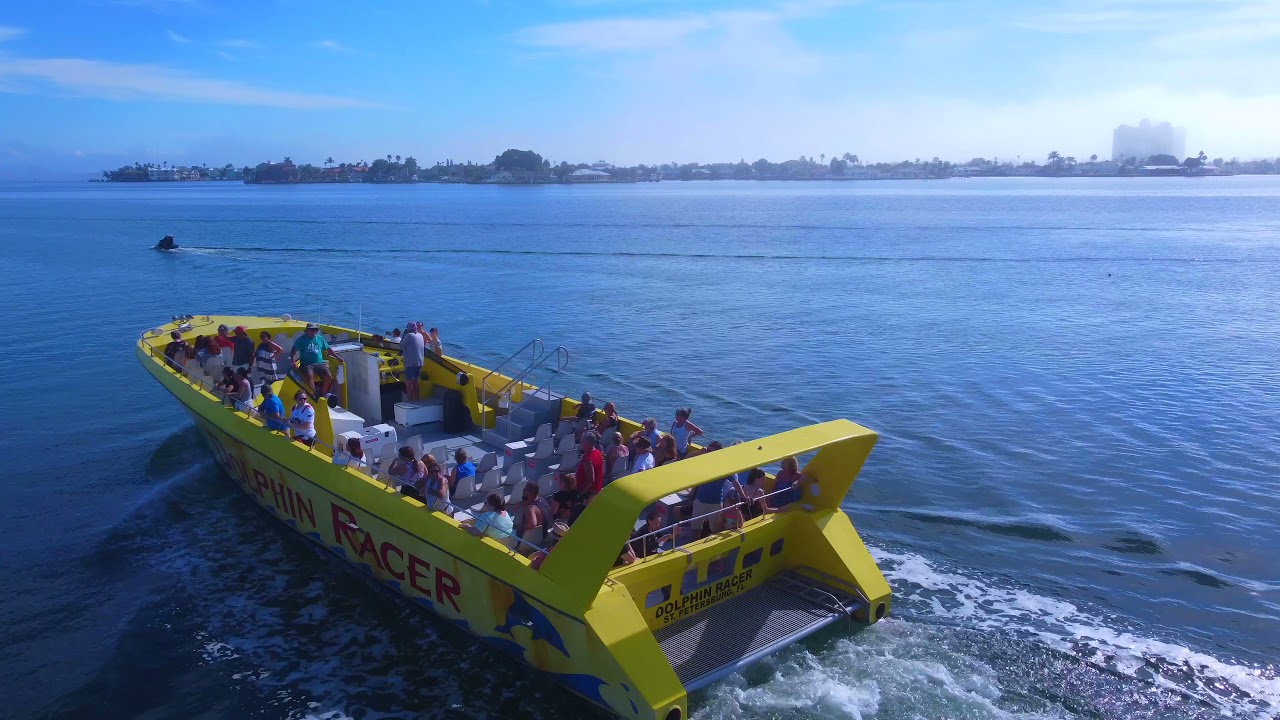 Dolphin Speedboat Racer . Saint Petersburg , Florida .4k . - YouTube
