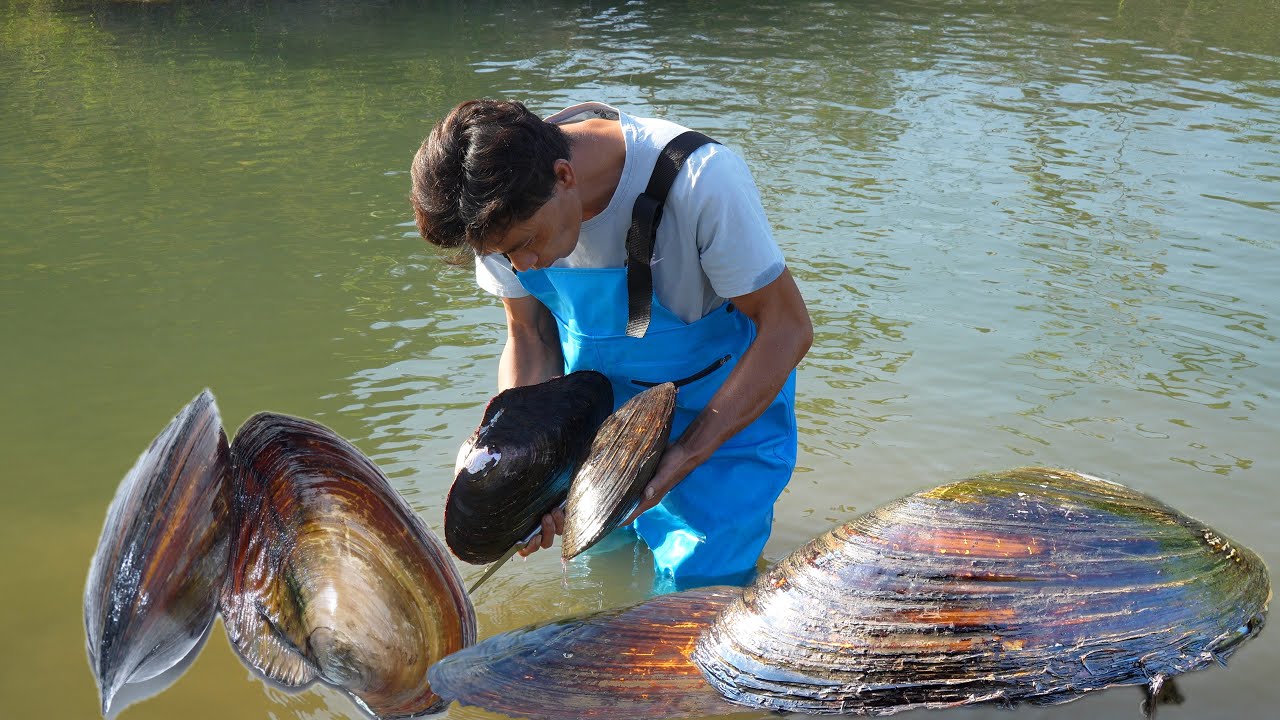 Jewels from the Earth: Young Girl Stumbles Upon Rare Gem-Filled Clam in ...