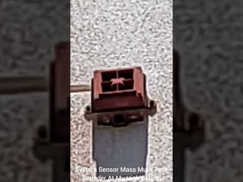 System Sensor Mass Multi-Tone Sounder At My High School #shorts - YouTube
