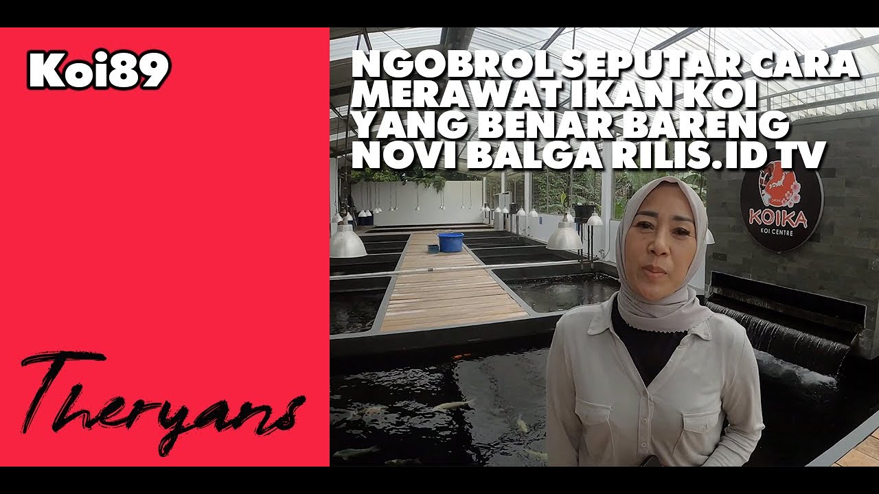 Ngobrol Seputar Cara Merawat Ikan Koi Dengan Benar & Baik Bersama Rilis.ID TV - YouTube