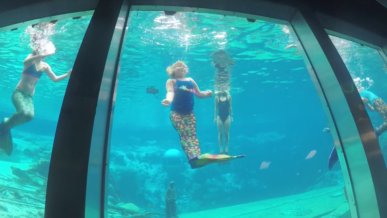 Weeki Wachee Mermaid Camp 2018 V1 - YouTube