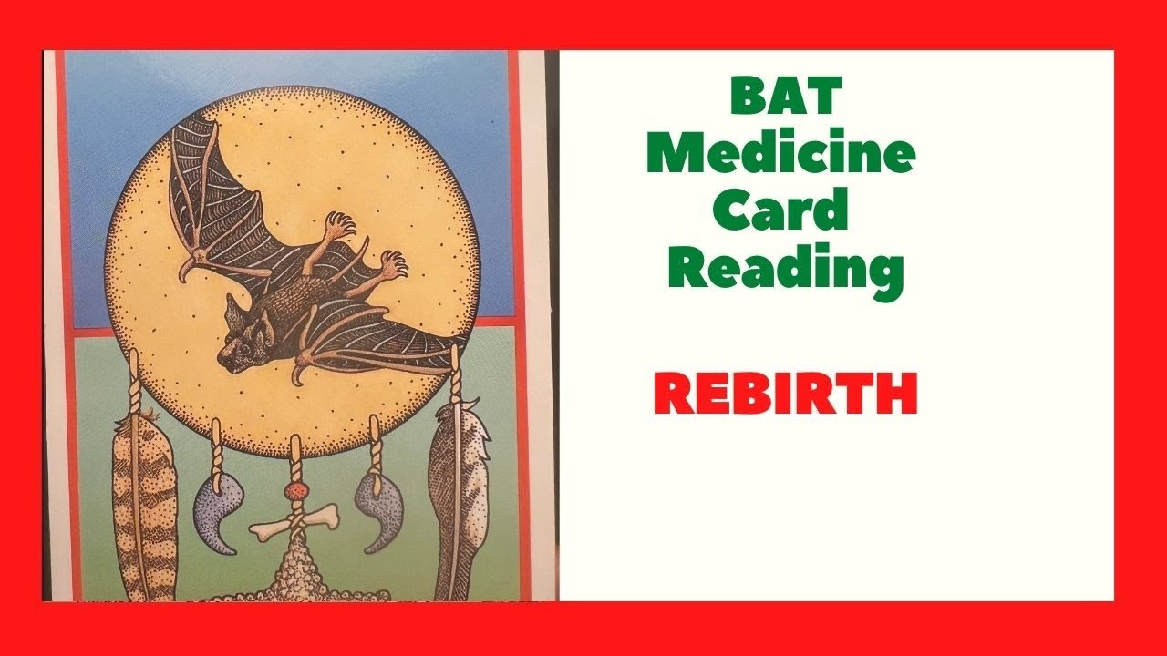 Bat Medicine Card Reading - Rebirth | Native American Spirituality ...