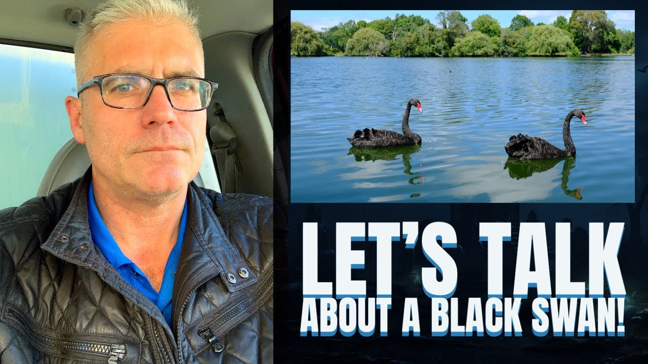 Let’s Talk About A Black Swan // Why The Rapture Is The Greatest Black ...
