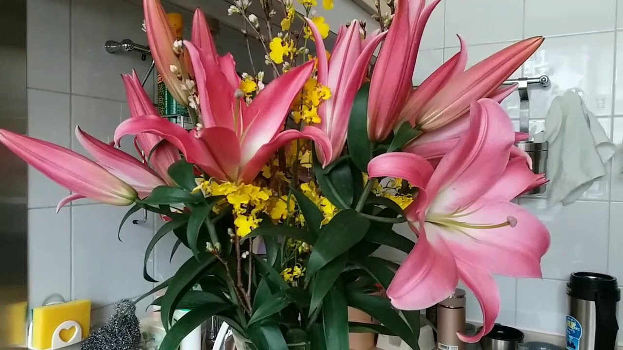 Ternyata Begini Caranya Supaya Bunga Awet Segar. - YouTube
