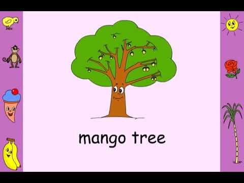 "Trees" Pre School Kids Learning cbse ncert English Nursery,Junior KG ...