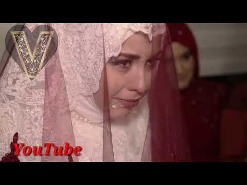 Mehvan Alkishki boke میفان الکیشکی بوکی