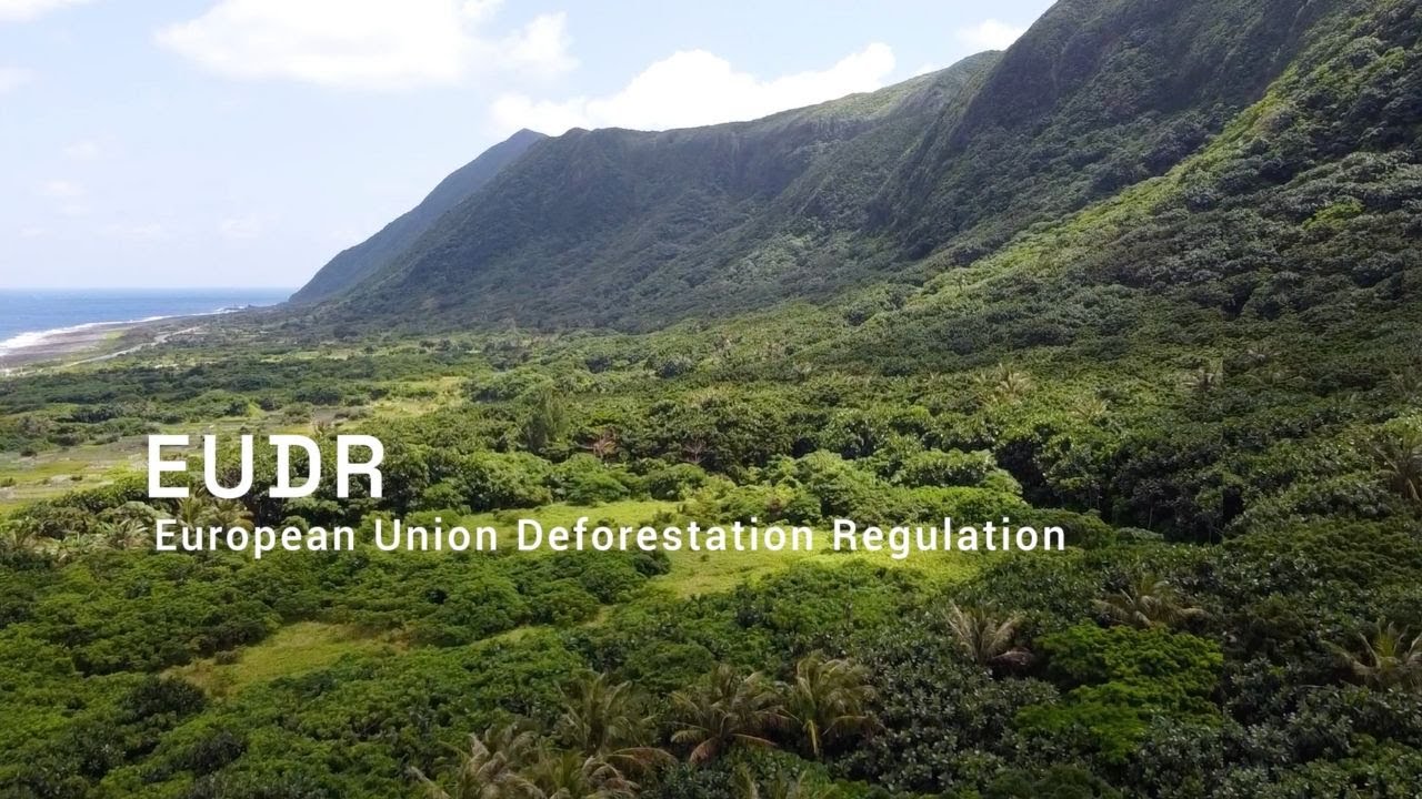 🌳 EUDR Regulation Explained: Ensuring Compliance with the EU ...