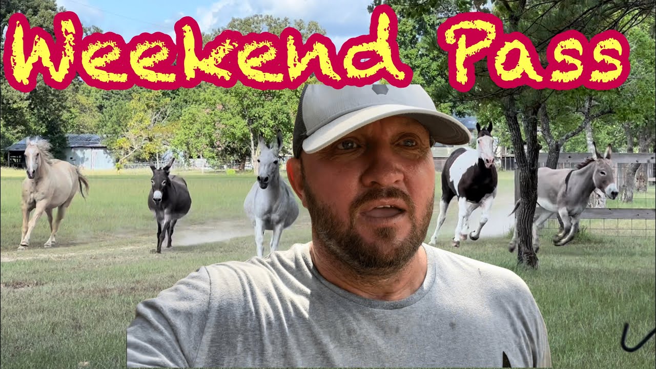 Weekend Pass! - YouTube