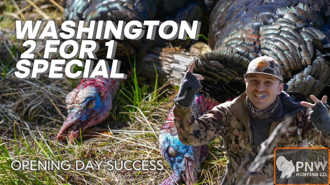 Two Birds, One Shot-Washington State Turkey Hunting - YouTube