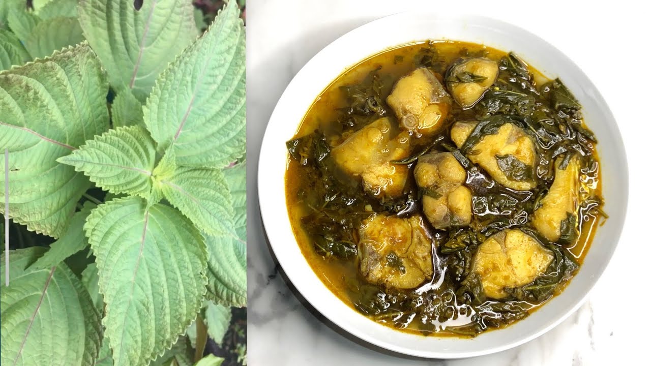 RUJOT PATA CURRY—HOW TO COOK ROHU FISH With RUJOT PATA—SYLHETI RUJOT ...