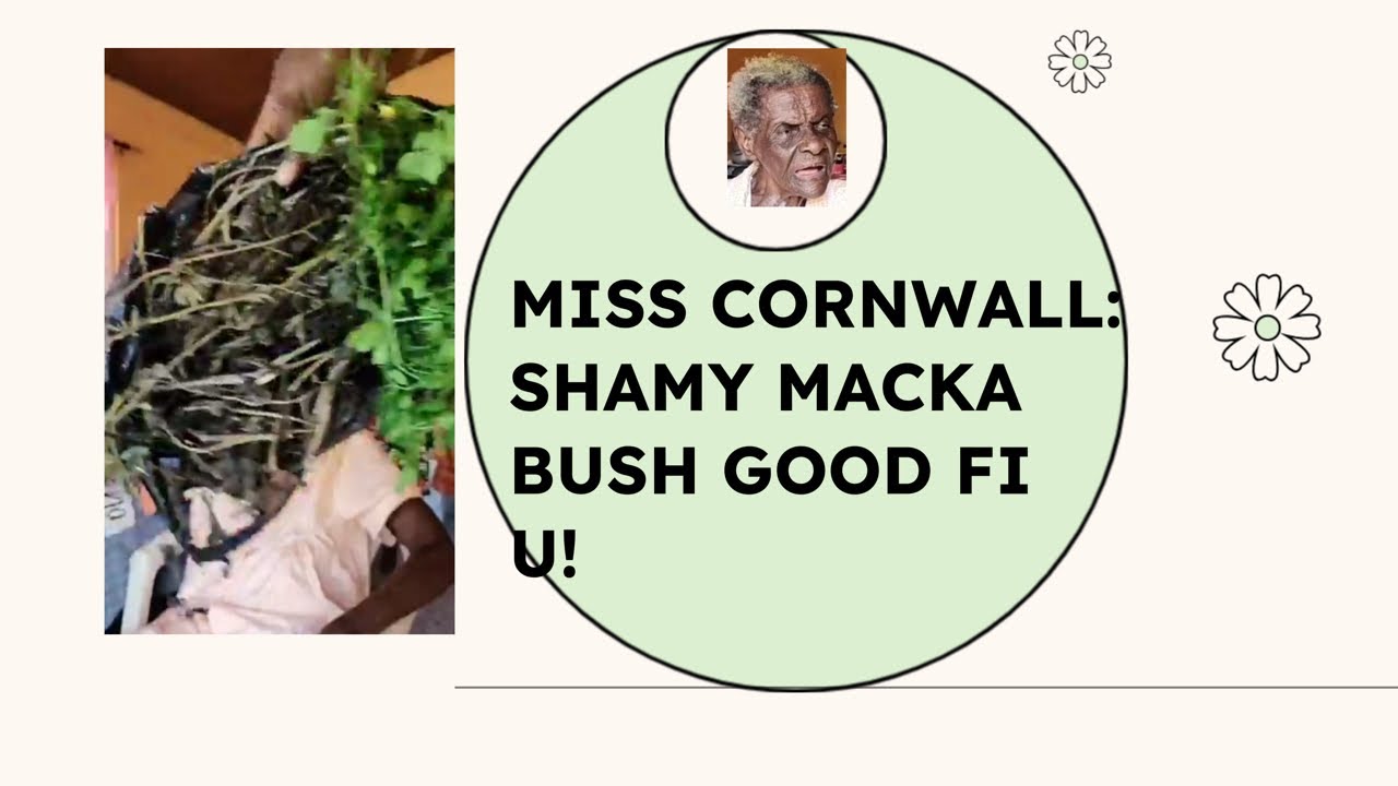 MISS CORNWALL TELLS US WHAT SHAMY MACKA BUSH CAN DO! @Joyfuljulie2.0 ...