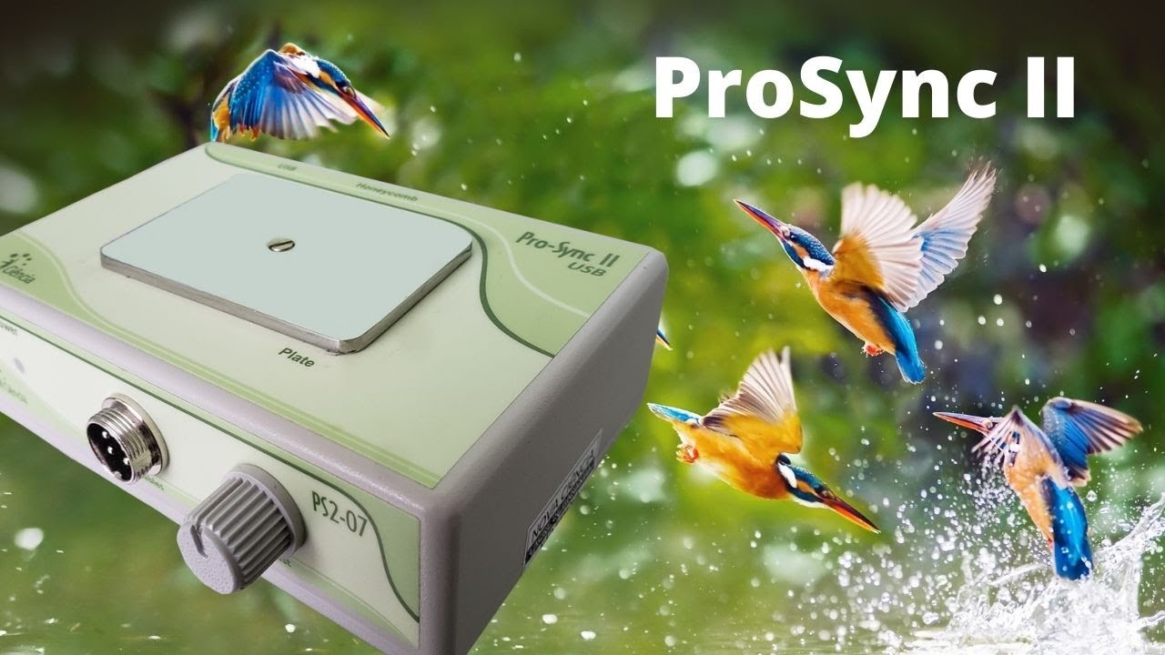 Equipamentos Quânticos - ProSync II - YouTube