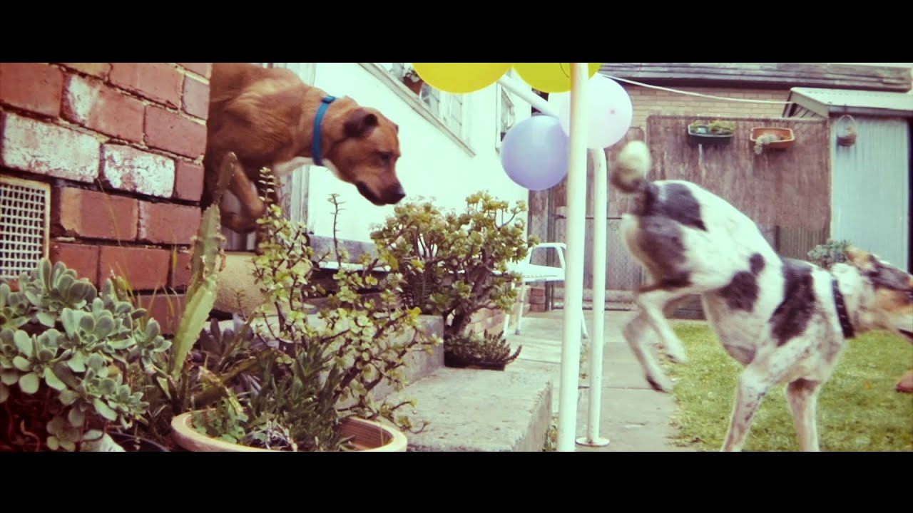 Helen Show Season One Trailer - YouTube