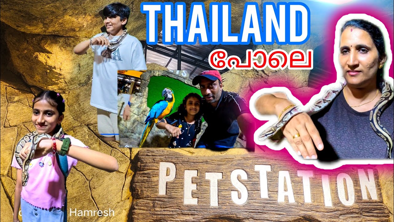 Matool Pet Station Kannur ഇത് ഒരു മിനി മൃഗശാല എന്ന് പറയാം | Pet Care ...