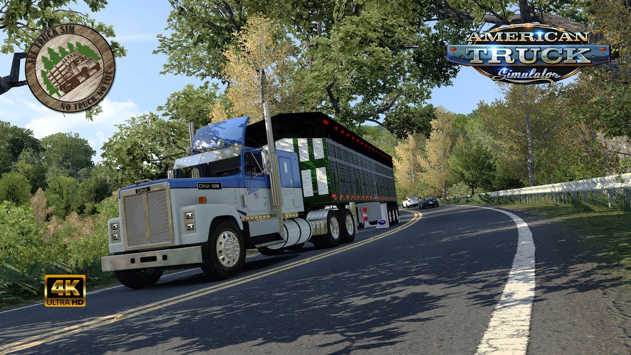 || DINA 800 EXPLORING MEXICO PUERTO VALLARTA || American Truck ...