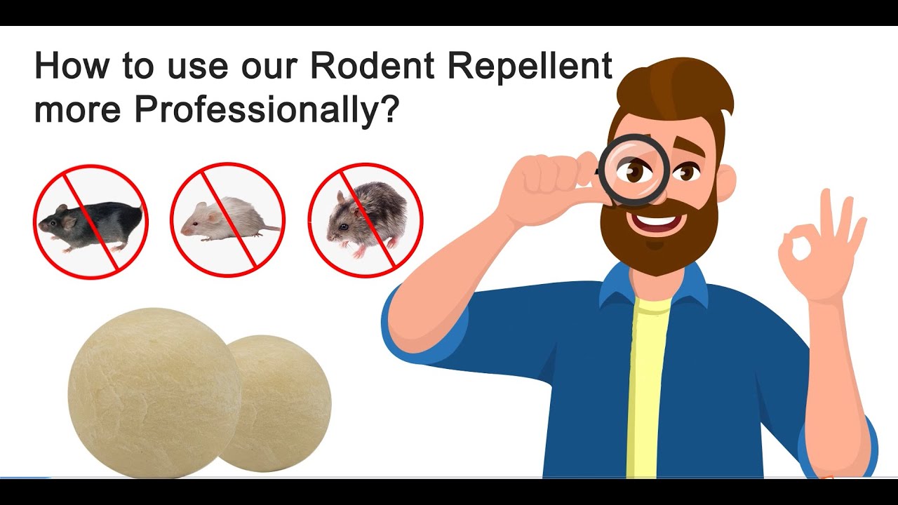 How to use Rodent Repellent Ball - YouTube