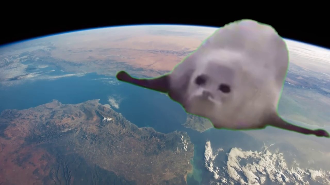 lol seal - YouTube