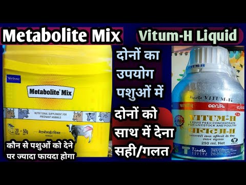Metabolite Mix Powder||Vitum-H Liquid Use in Animals||दोनों को साथ में ...
