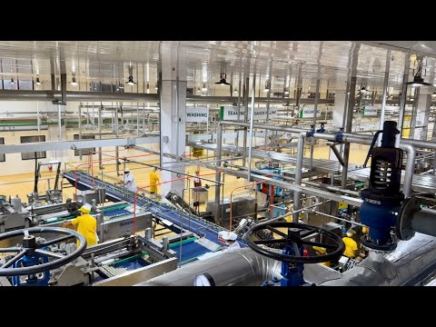 The NEWEST HI-TECH na PLANTA ng MEGA SARDINES + Learn from the Founder ...